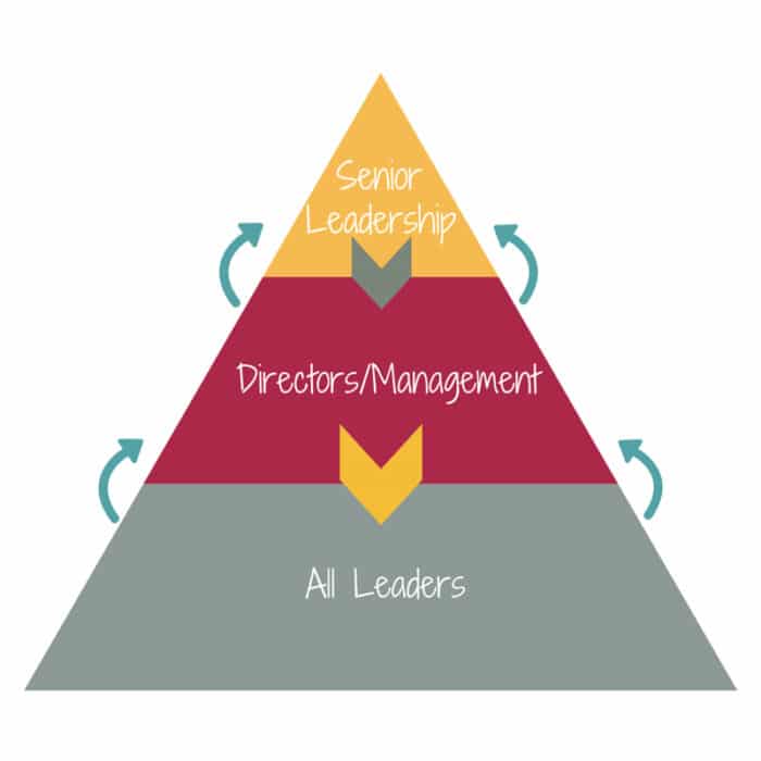 Fearless Leadership: Integration Model - Transcend